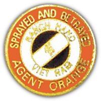 Agent Orange Pin - Vietnam Veteran Pins - PriorService.com