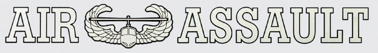 Air Assault Window Strip Decal
