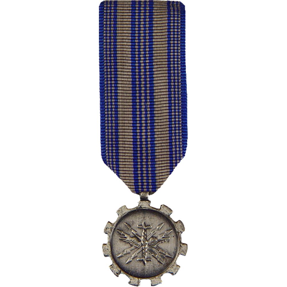 Air Force Achievement Mini Medal