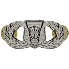 Air Force Full Size Insignia , Military Gifts and more at PriorService.com