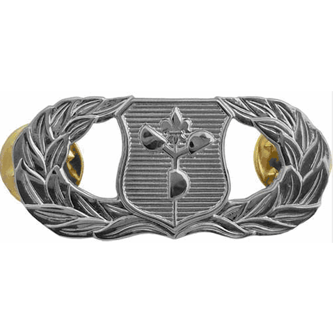 Air Force Meteorology Badge - Air Force Full Size Insignia ...