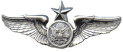 Air Force Senior Enlisted Aircrew Badge - Air Force Full Size Insignia ...
