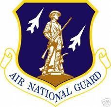 Air National Guard Decal - US Air Force Decals - PriorService.com