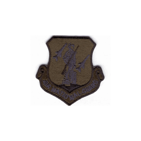 Air National Guard Subdued Patch - US Air Force Command Patches ...