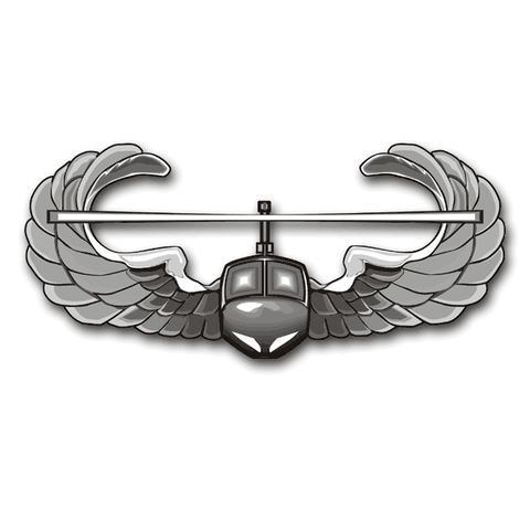 Air Assault Wings Drawing