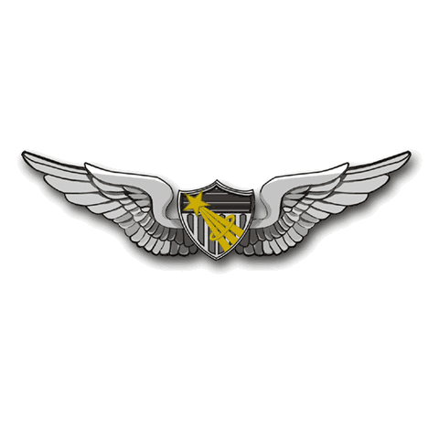 Army Astronaut Badge