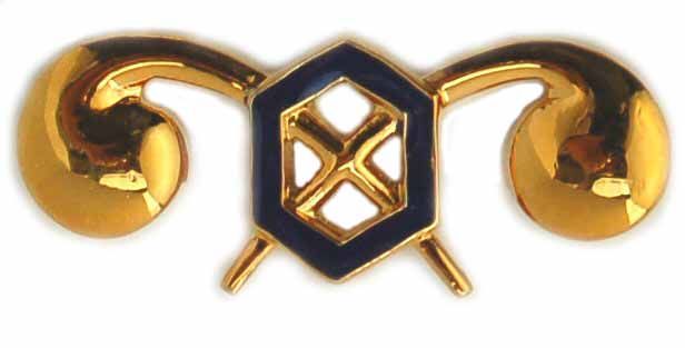Army Chemical Officer Badges - Insignia/Badge Officer Pairs ...