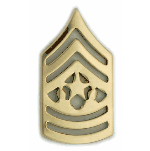 Army Command Sergeant Major E-9 Pin-On Rank Pair - Army Brass Pin-On ...