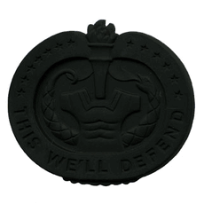 US Army Subdued Badges , Military Gifts and more at PriorService.com