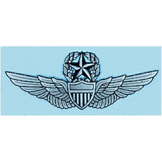 Wings Decals , Military Gifts and more at PriorService.com