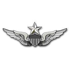 Army Master Aircrew Wings Vinyl Decal - US Army Combat Badges Vinyl ...