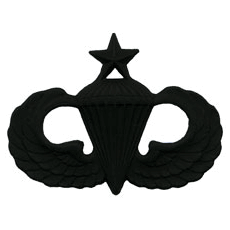 US Army Subdued Badges , Military Gifts and more at PriorService.com