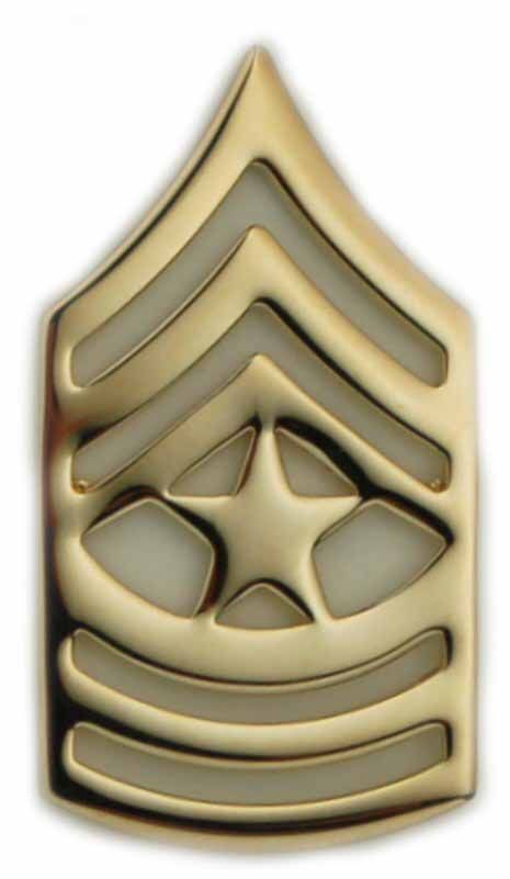 Army Sergeant Major E-9 Pin-On Rank Pair - Army Brass Pin-On Rank ...