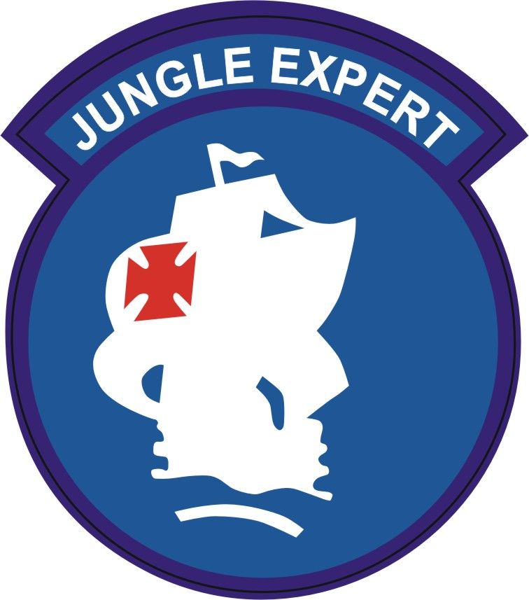 Army South Command Jungle Expert Patch vinyl transfer decal - US Army ...
