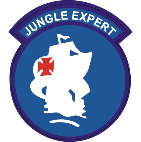 Army South Command Jungle Expert Patch vinyl transfer decal - US Army ...