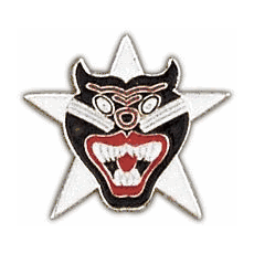 Ranger Arc Flag - Shop for US Army Ranger Items - PriorService.com