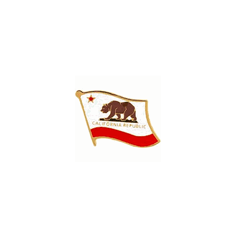 California State Flag Pin - U.S. State Flag Pins - PriorService.com