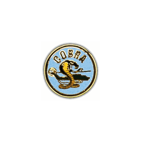 Cobra Pin - Air Force Pins - PriorService.com