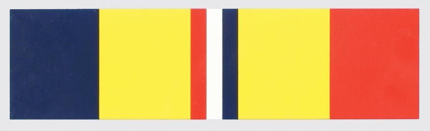 Combat Action Ribbon Decal - Veteran Decals - PriorService.com