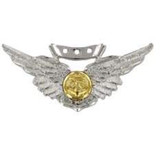Full Size Navy Badges , Military Gifts and more at PriorService.com