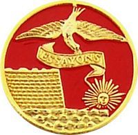 Corps of Engineers "Button" Pin - Small Army Pins - PriorService.com