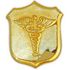 Corpsman Pin (Gold) - More Pins - Page 2 - PriorService.com