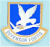 Defensor Fortis Decal - Air Force Command Decals - PriorService.com