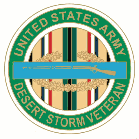 Desert Storm Veteran CIB Pin - Desert Storm Pins - PriorService.com