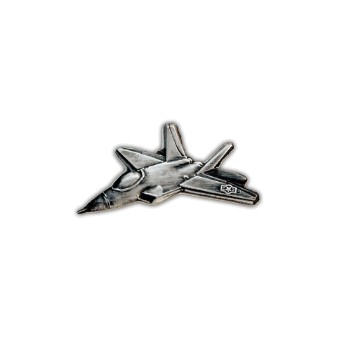 F-22 Raptor Pin - Airplane Pins - PriorService.com