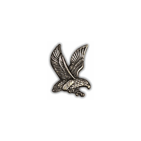 Falcon Right Pin - Air Force Pins - PriorService.com