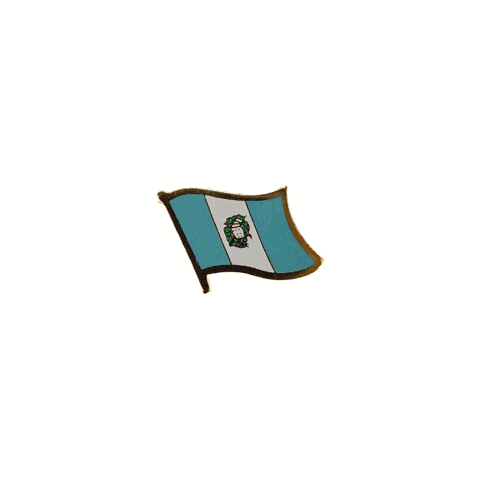 Guatemala Flag Pin - Country Flag Pins - PriorService.com