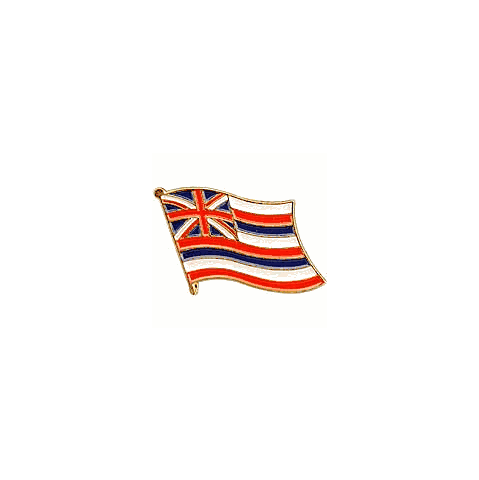 Hawaii State Flag Pin - U.S. State Flag Pins - PriorService.com