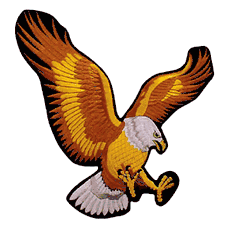 Large Patches , Military Gifts and more at PriorService.com