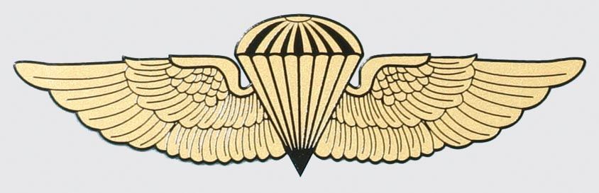 Marine/Navy Jump Wings Decal