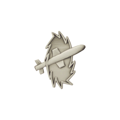 MT Missile Technician Pin - New Navy Pins - PriorService.com