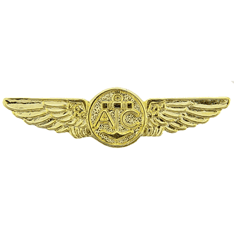 Naval Air Crew Wings Pin