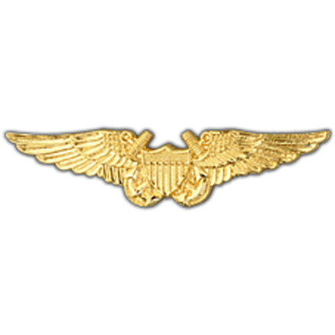 Naval Flight Officer Large Pin