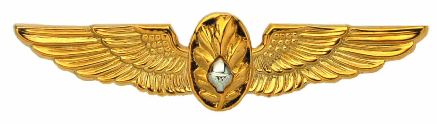 Naval Flight Surgeon Badge - Full Size Navy Badges - PriorService.com
