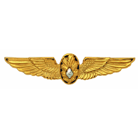 Naval Flight Surgeon Badge - Full Size Navy Badges - PriorService.com