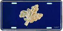 Navy Supple Core License Plate - US Navy License Plates - PriorService.com