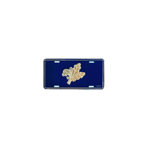 Navy Supple Core License Plate - US Navy License Plates - PriorService.com