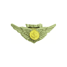 Navy Pins , Military Gifts and more at PriorService.com