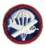 Paraglider Officer WW II Patch - New Army Patches - PriorService.com
