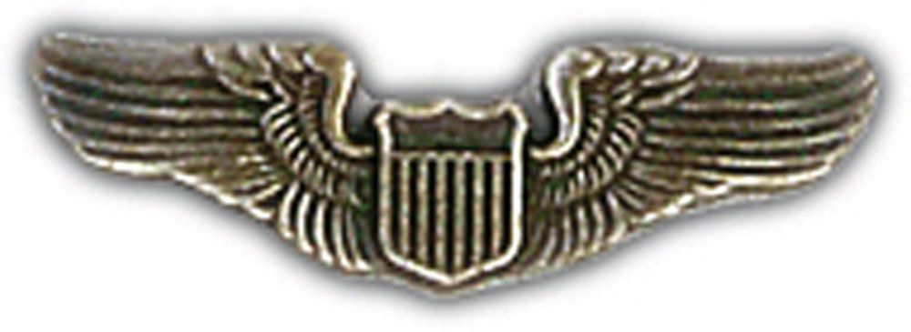 Pilot Wings Pin