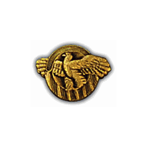 Ruptured Duck Pin - Army Pins - PriorService.com