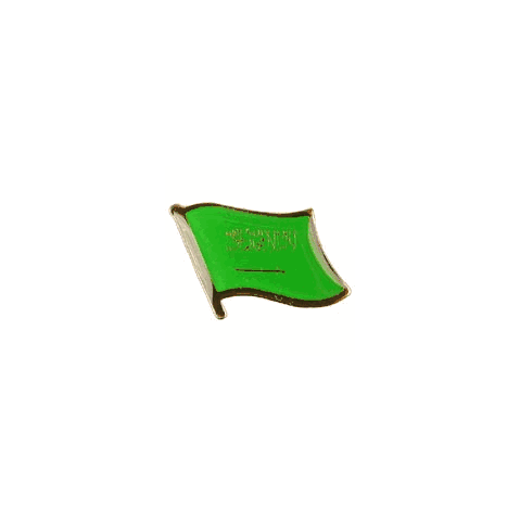 Saudi Arabia Flag Pin - Country Flag Pins - PriorService.com