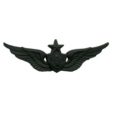 US Army Subdued Badges , Military Gifts and more at PriorService.com