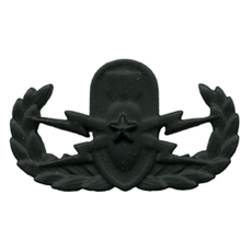US Army Subdued Badges , Military Gifts and more at PriorService.com