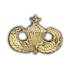 Badge and Insignia Pins , Military Gifts and more at PriorService.com