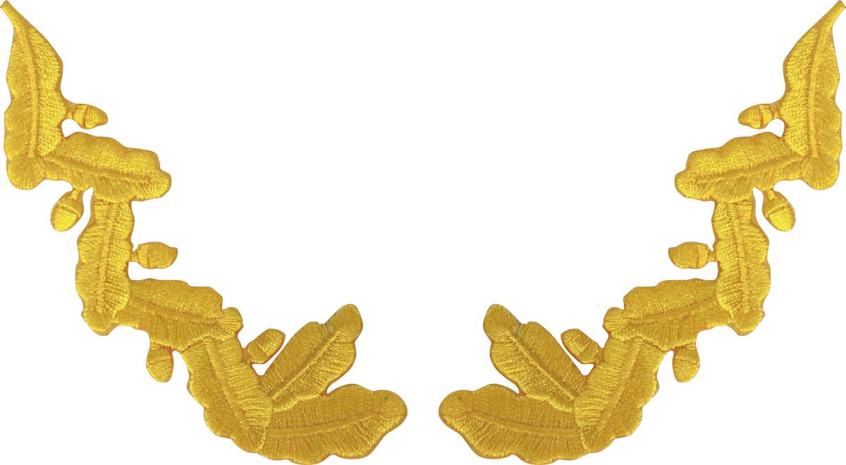 Single Scrambled Eggs - Military Caps - PriorService.com